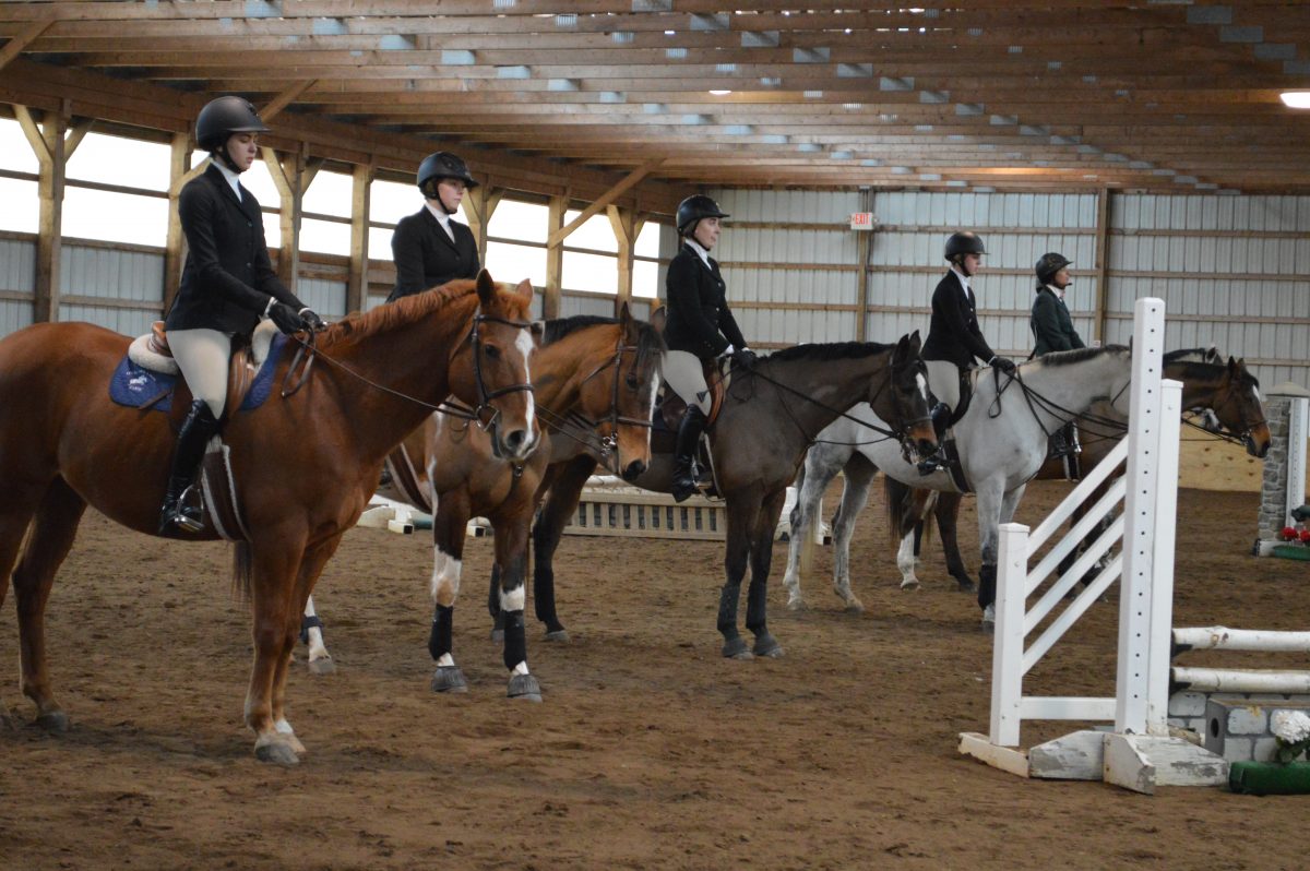 Trinity Horse Show | Equestrian Team