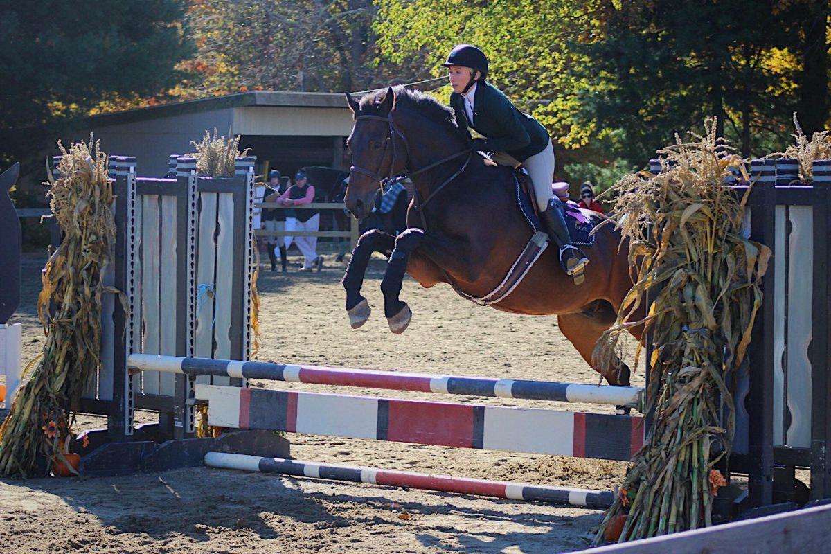 Home | Equestrian Team