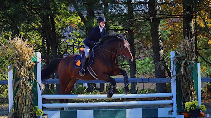 About the Team | Equestrian Team