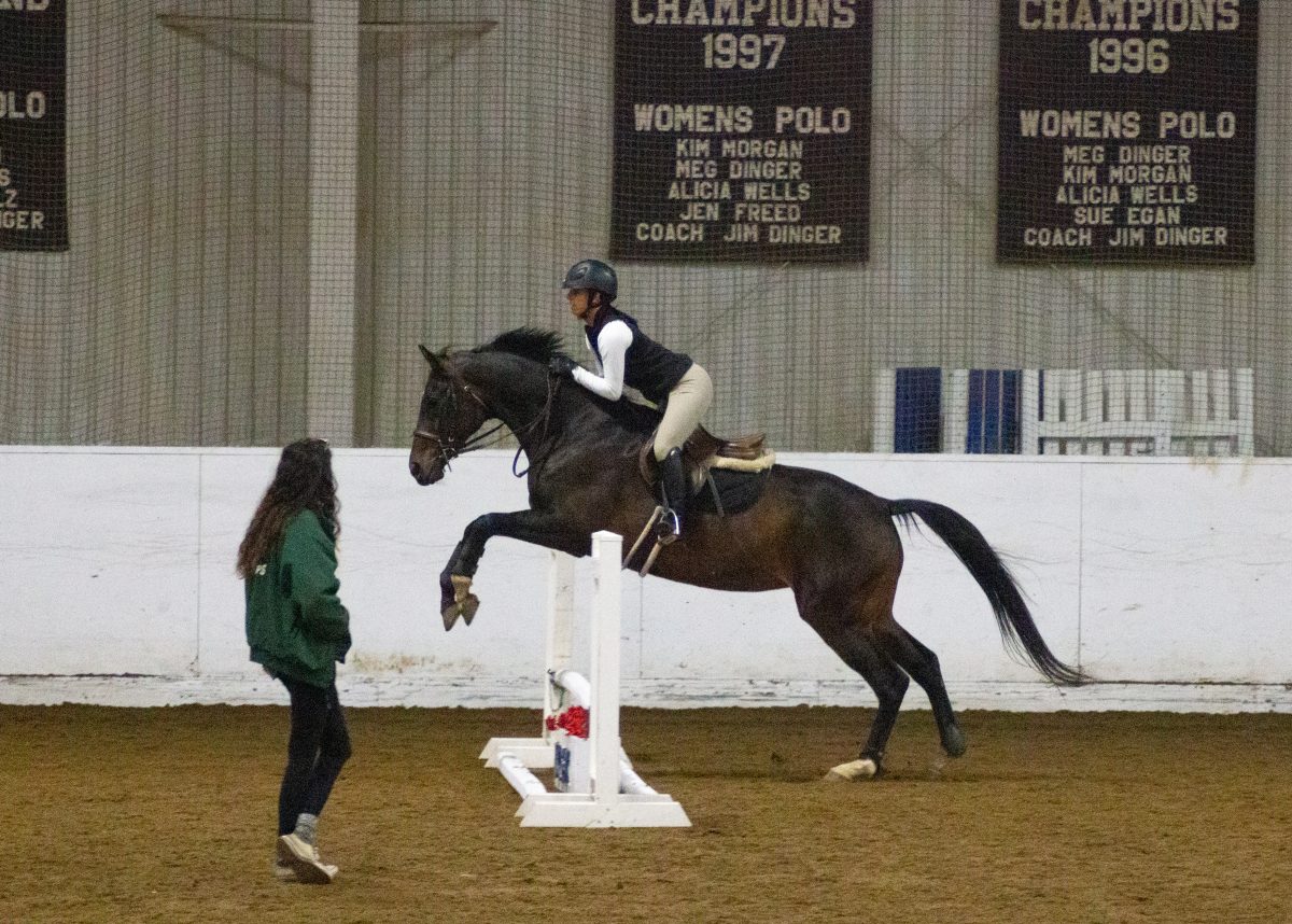 Events | Equestrian Team